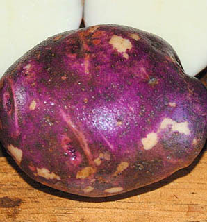 Standard Potato – Purple Viking – 1 Lb – Harvesting History