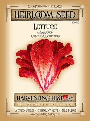 Lettuce, Cimarron – Harvesting History