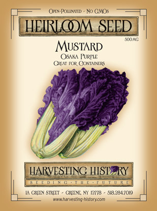 Mustard, Osaka Purple – Harvesting History