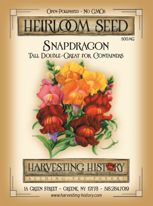 Snapdragon, Tall Double Mix – Harvesting History