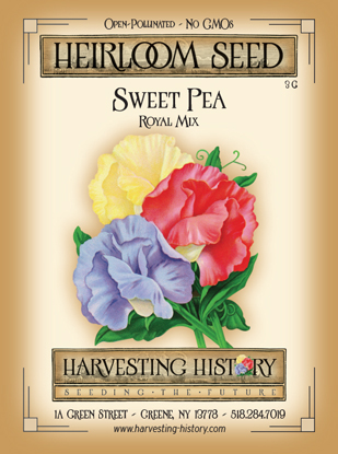 Sweet Pea, Royal Mix – Harvesting History