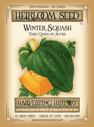 Winter Squash, Table Queen or Acorn – Harvesting History