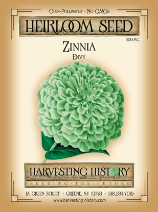 Zinnia, Envy (Fancy) – Harvesting History