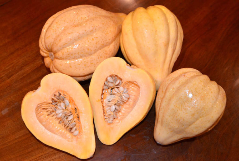 From the Prehistoric Americans to the Native Americans to the Immigrant ...