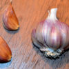 Heirloom Garlic – Harvesting History