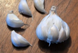 Silverskin Garlic, Sicilian Silver – 4 oz – Harvesting History