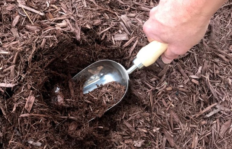The Harvesting History Heirloom Compost Scoop – Harvesting History