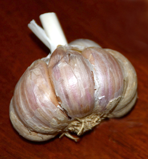 Rocambole Garlic, Killarney Red – 4 oz – Harvesting History