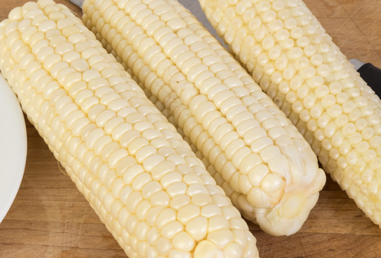 Sweet Corn, White Hybrid – Silver Queen – Harvesting History