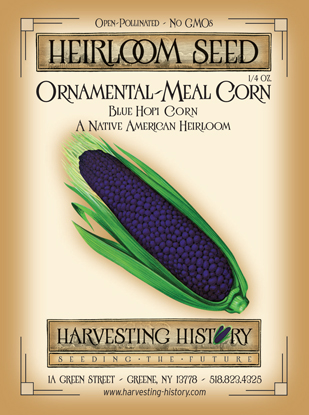 Ornamental Meal Corn, Blue Hopi Corn – A Native American Heirloom ...